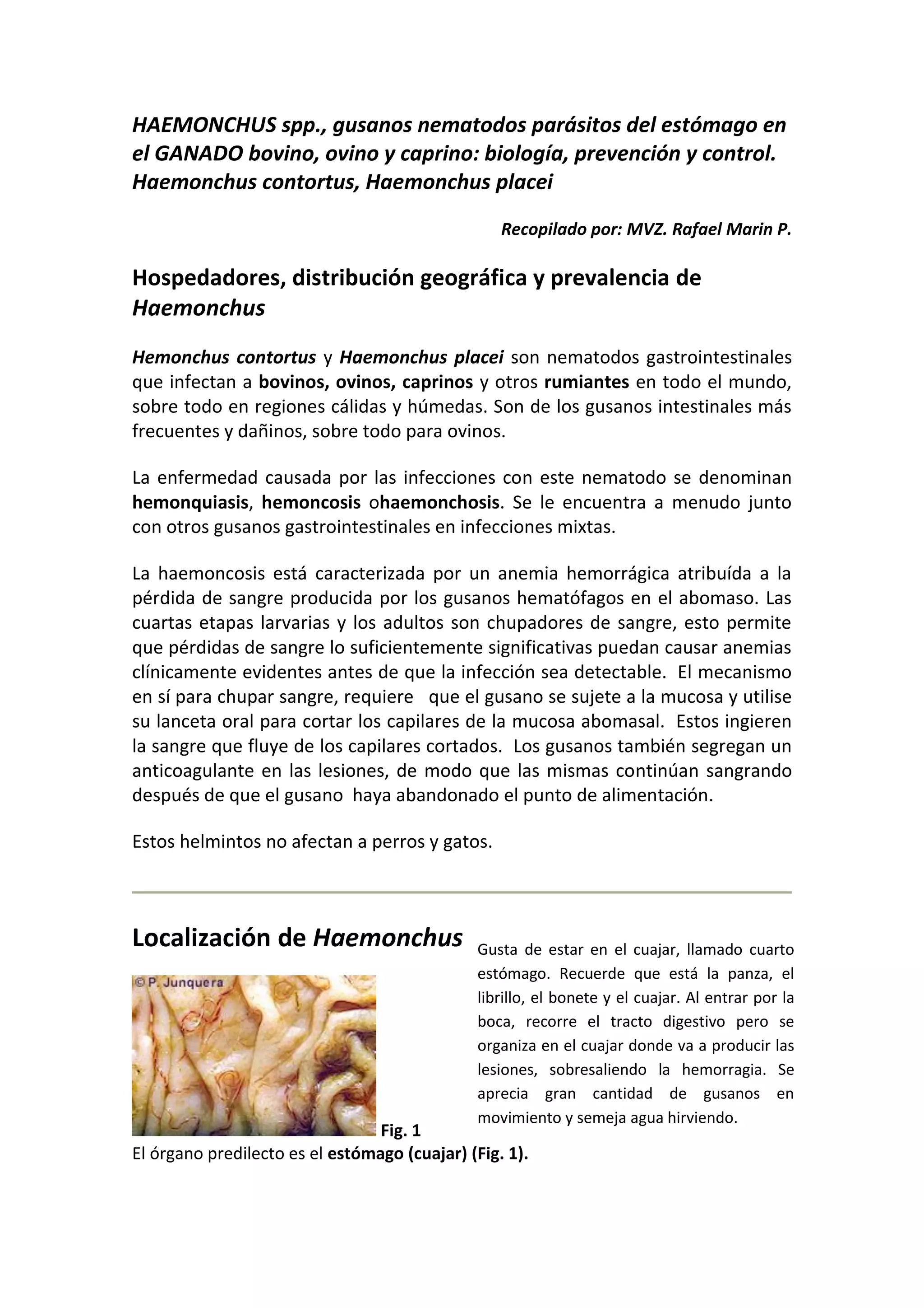 Haemonchus contortus ovinos | PDF