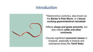 Haemonchus contortus – The Barber's Pole Worm.pptx