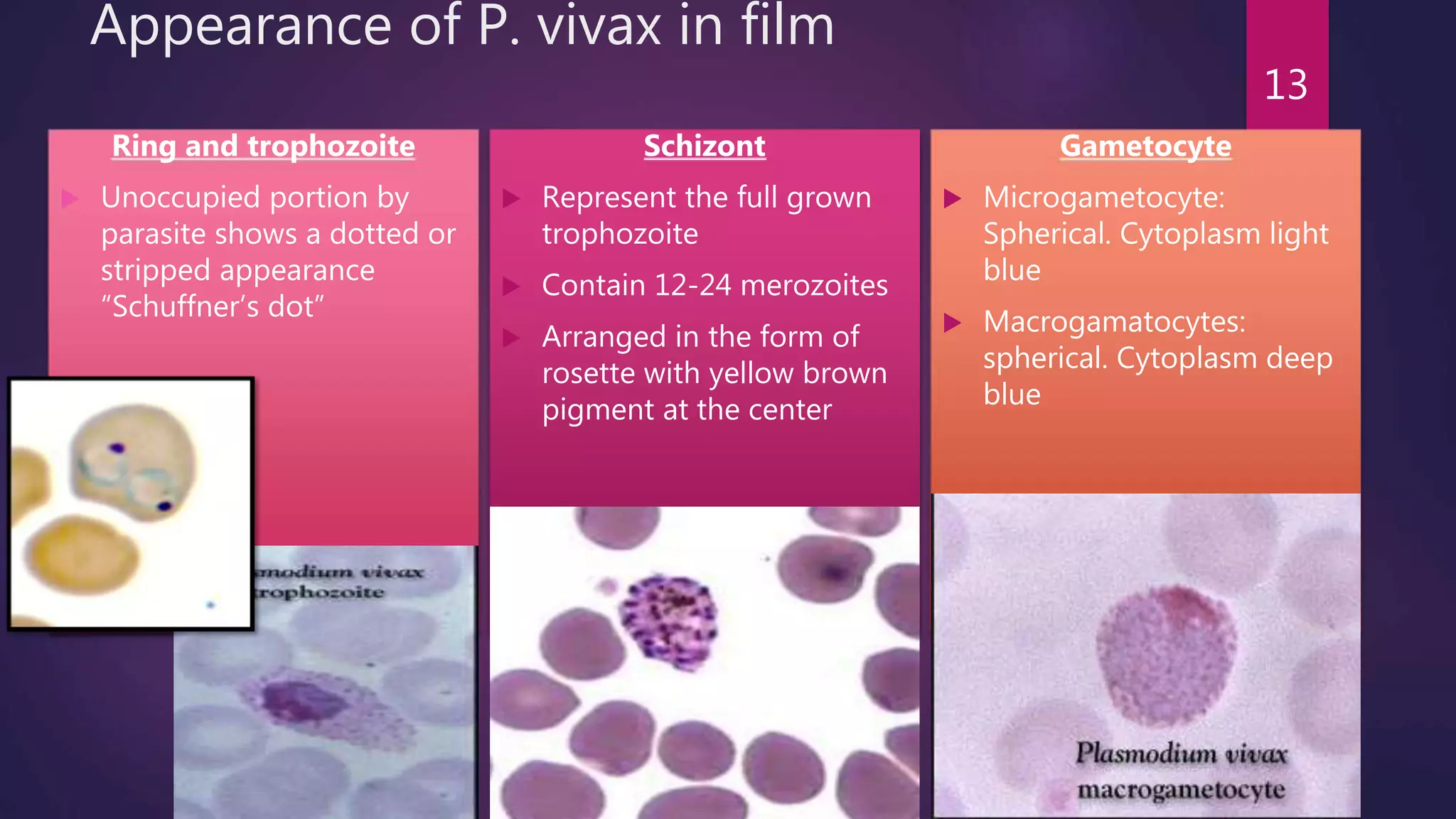 Haemoparasites in blood smear | PPTX