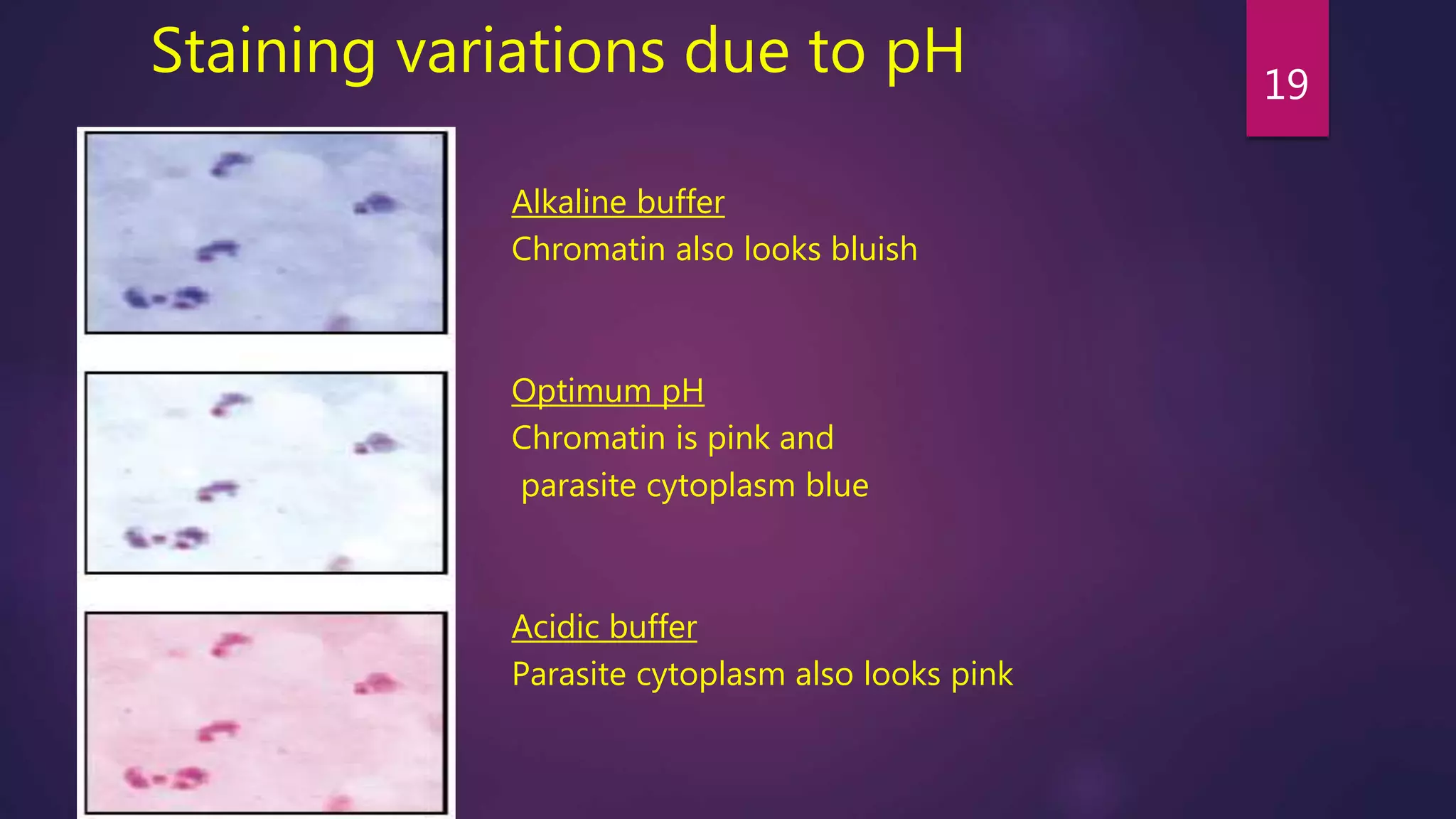Haemoparasites in blood smear | PPTX