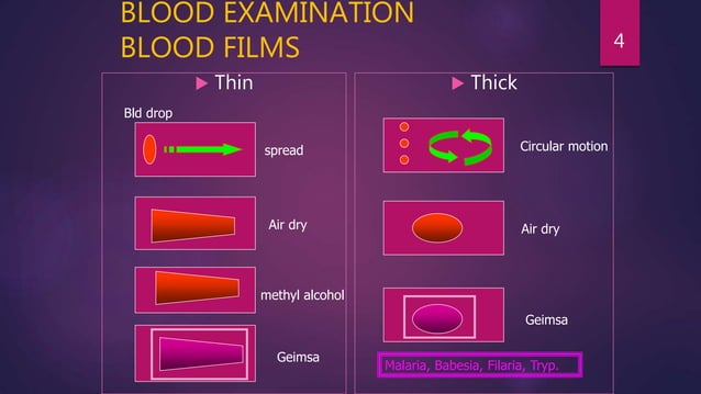 Haemoparasites in blood smear | PPTX | Blood Disorders | Diseases and ...