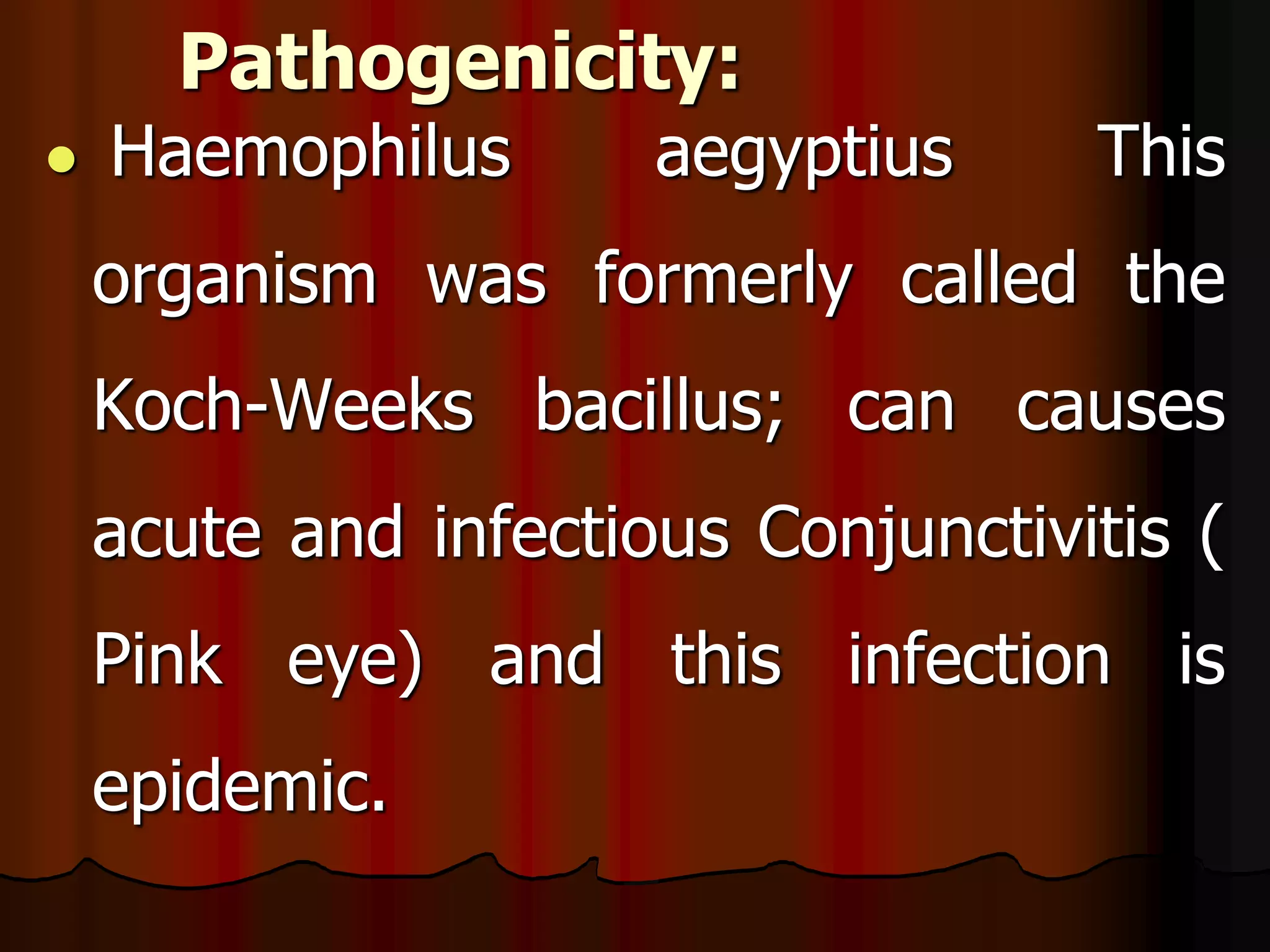 Haemophilis SP..ppt