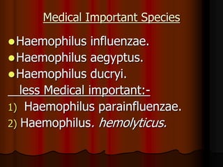 Haemophilis SP..ppt