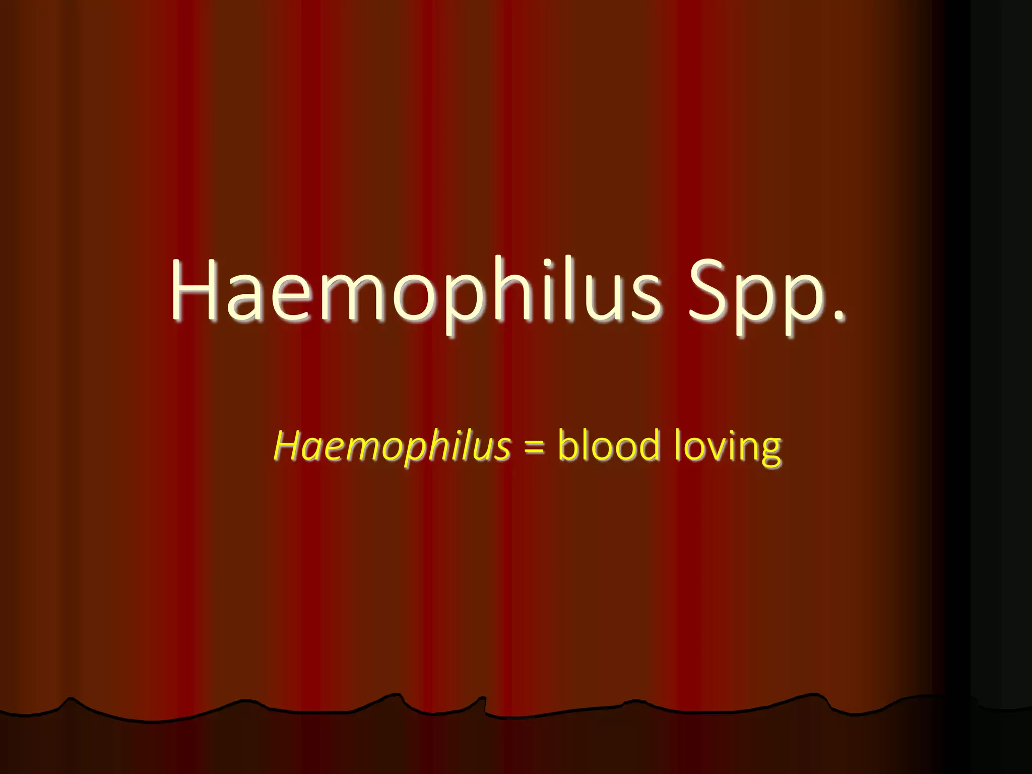 Haemophilis SP..pptx