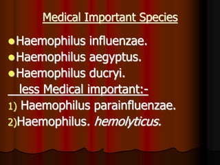 Haemophilis SP..pptx | Infectious Diseases | Diseases and Conditions
