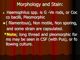 Haemophilis SP..pptx