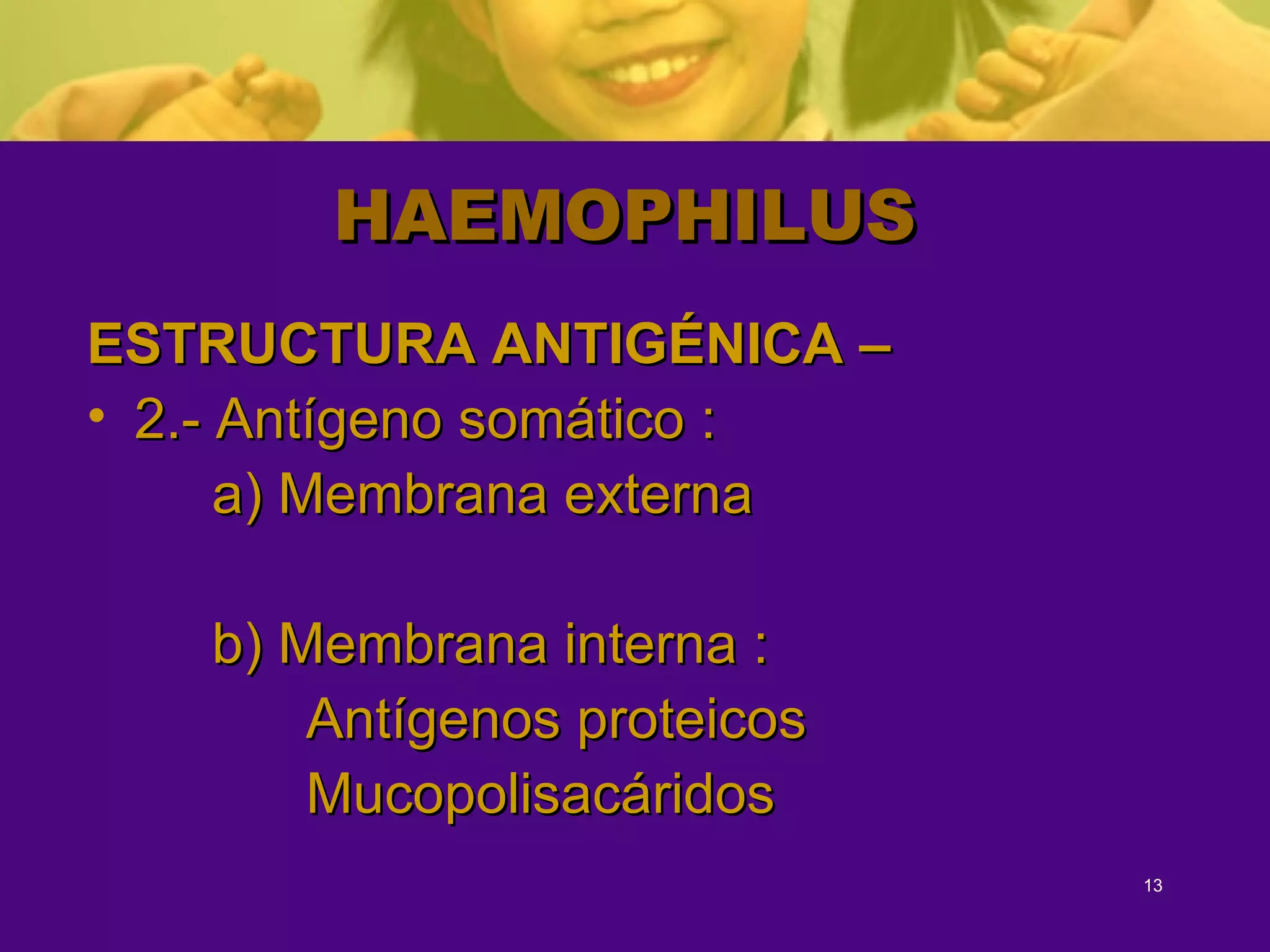 Haemophilus | PPT