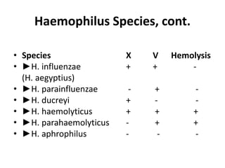 Haemophilus.pptx presntn | PPTX