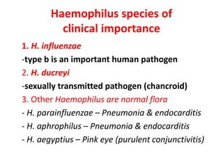 Haemophilus.pptx presntn | PPT