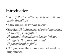 Haemophilus.ppt