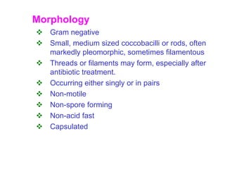 Haemophilus.ppt BACTERIOLOGY Haemophilus | PPT