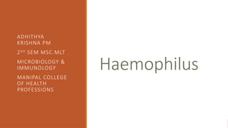 Haemophilus species MLT notes .ppptx | PPTX