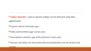 Haemophilus species MLT notes .ppptx | PPTX