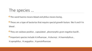 Haemophilus species MLT notes .ppptx | PPTX