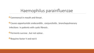 Haemophilus species MLT notes .ppptx | PPTX