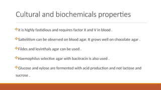 Haemophilus species MLT notes .ppptx | PPTX