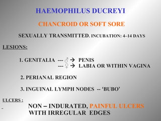 Haemophilus --all sps | PPT