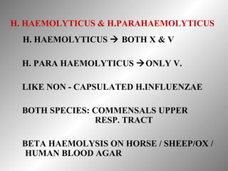 Haemophilus --all sps | PPT