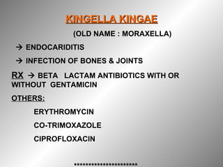Haemophilus --all sps | PPT