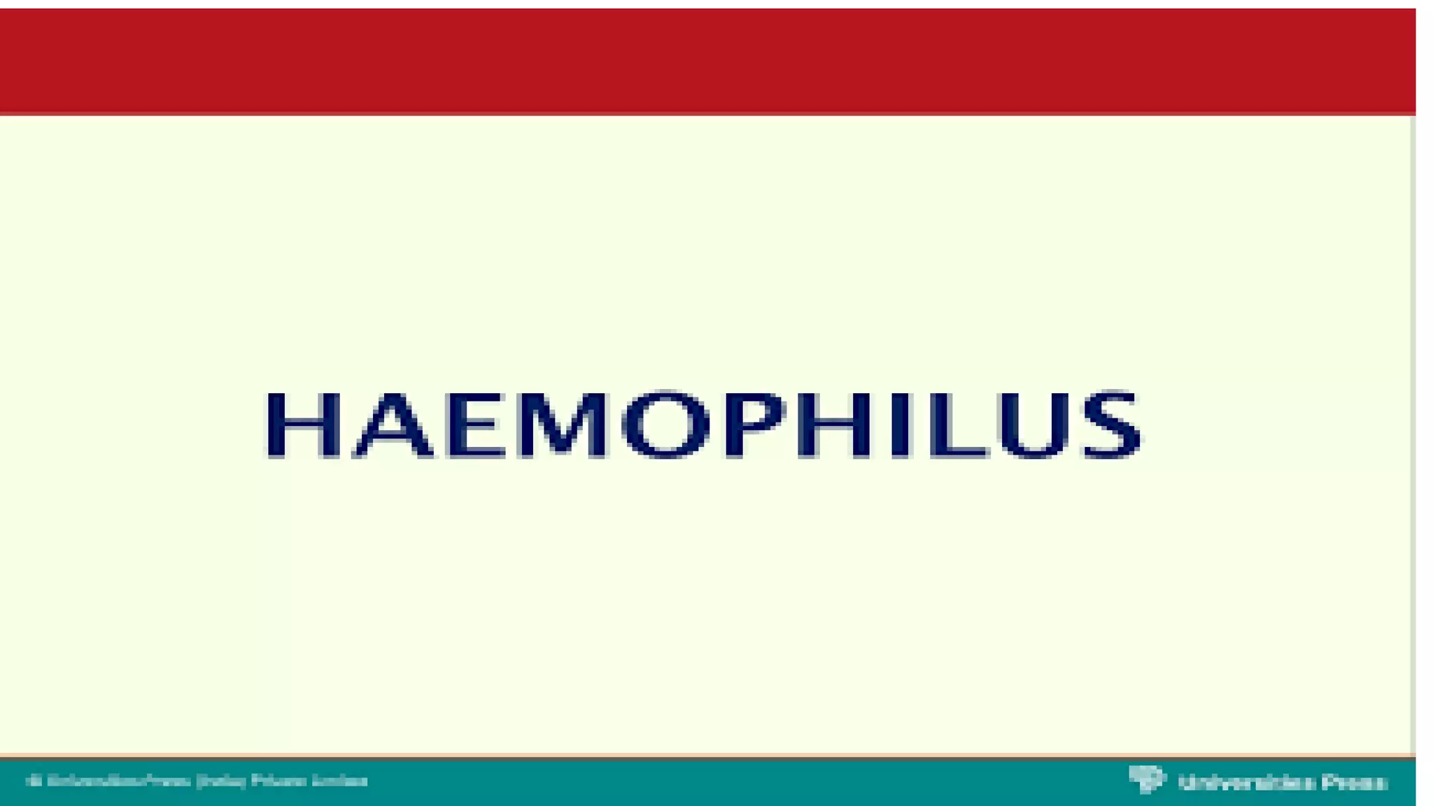 Haemophilus (2).pdf