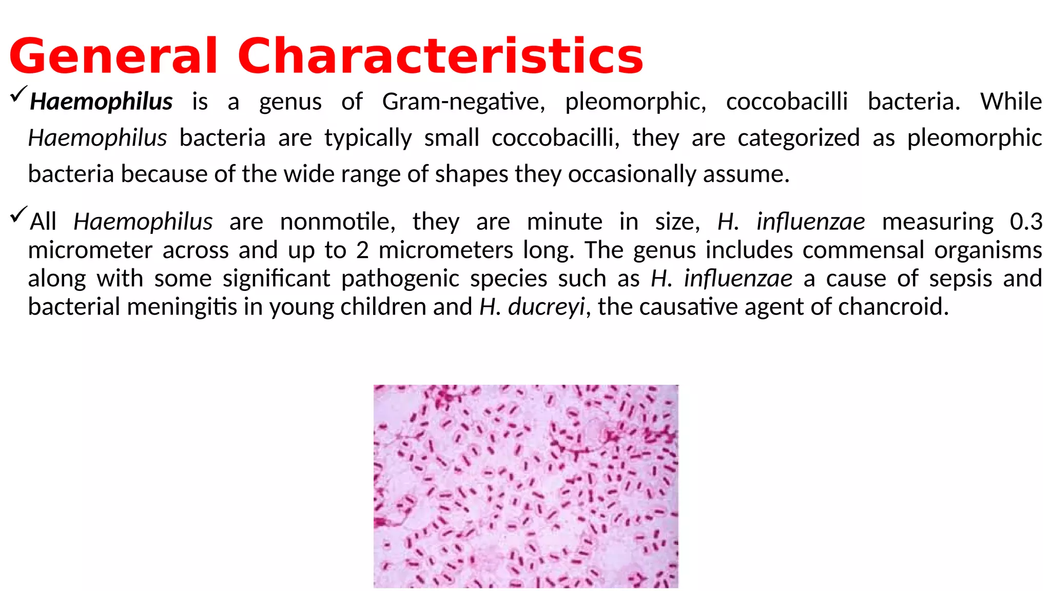 Haemophilus (2).pdf