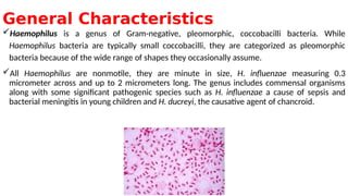 Haemophilus (2).pdf