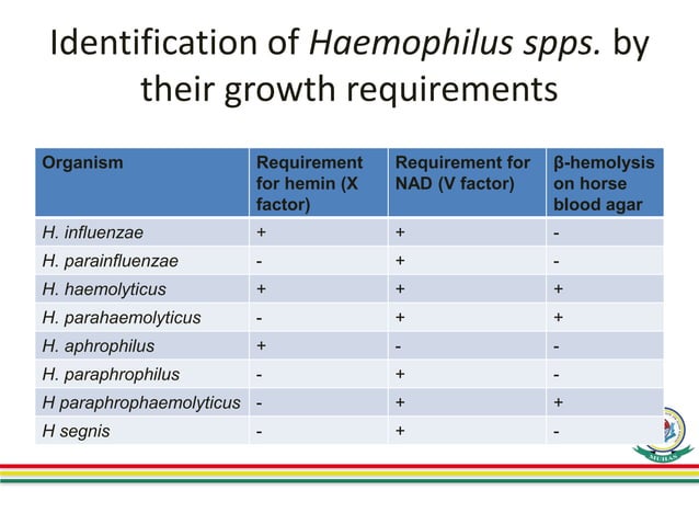 Haemophilus and bordetella.pptx