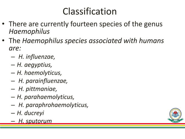 Haemophilus and bordetella.pptx