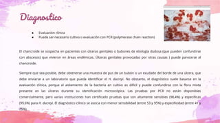 haemophilus ducreyi .pptx