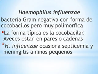 Haemophilus influenzae | PPTX