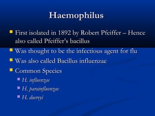 Haemophilus influenzae and bordetella | PPT