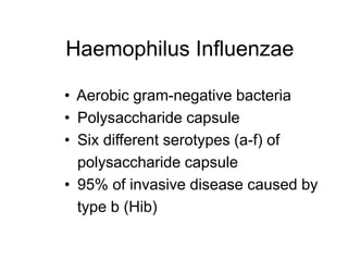 Tema sobre el la bacteria Haemophilus Influenzae. | PPT