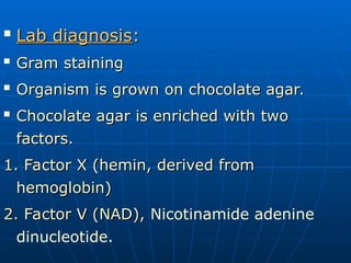 Haemophilus influenzae.ppt................ | PPT