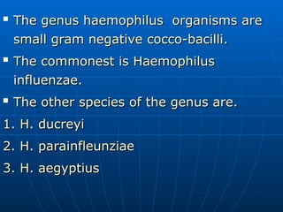 Haemophilus influenzae.ppt................ | PPT