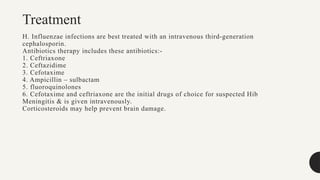 Haemophilus influenzae and Neisseria gonorrhoeae.pptx