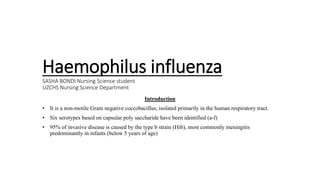 Haemophilus influenza powerpoint | PPTX