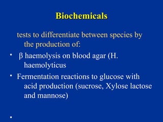 Haemophilus mahadi ppt | ODP | Infectious Diseases | Diseases and ...