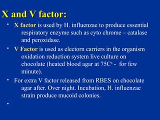 Haemophilus mahadi ppt | ODP | Infectious Diseases | Diseases and ...