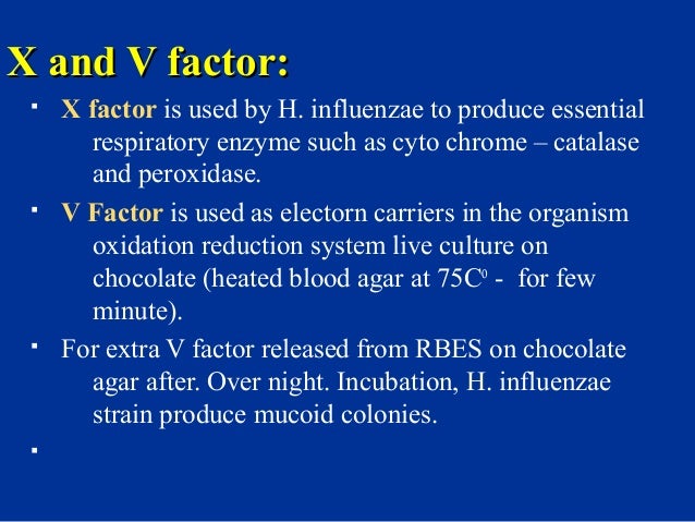 Haemophilus mahadi ppt