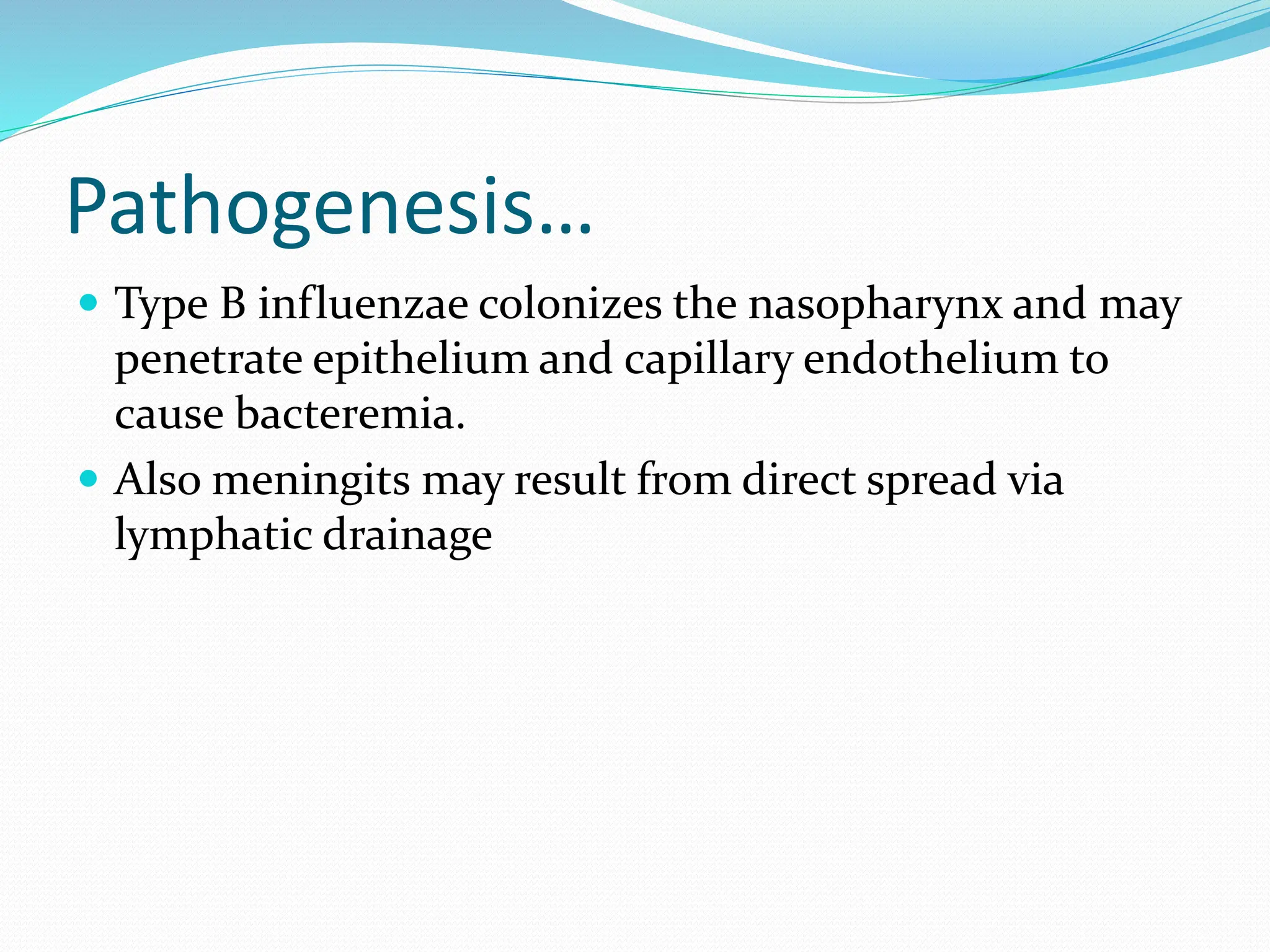 HAEMOPHILUS type b.and it's causes and how it affects | PPTX