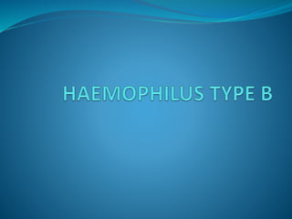HAEMOPHILUS type b.and it's causes and how it affects | PPTX