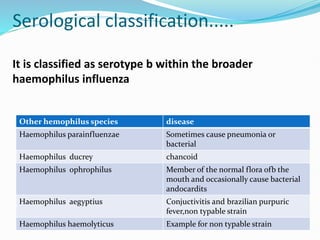 HAEMOPHILUS type b.and it's causes and how it affects | PPT