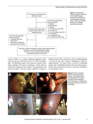 Haemophylus ducreyi review | PDF
