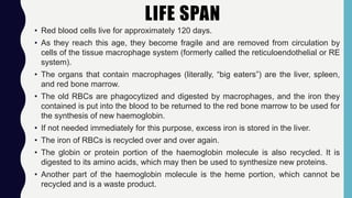 Haemopoiesis, RBC’s, erythropoiesis, life span, oxygen transport.pptx