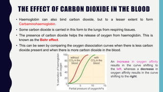 Haemopoiesis, RBC’s, erythropoiesis, life span, oxygen transport.pptx