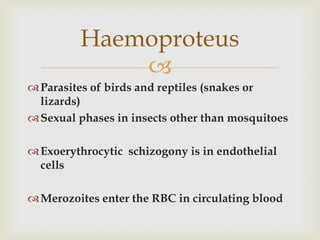 Haemoproteus | PPTX