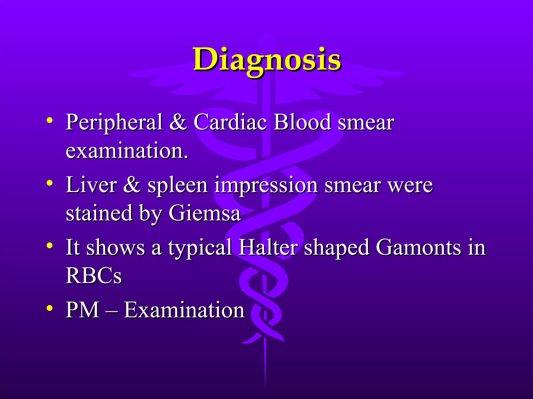 Haemoproteus Columbae | PPT