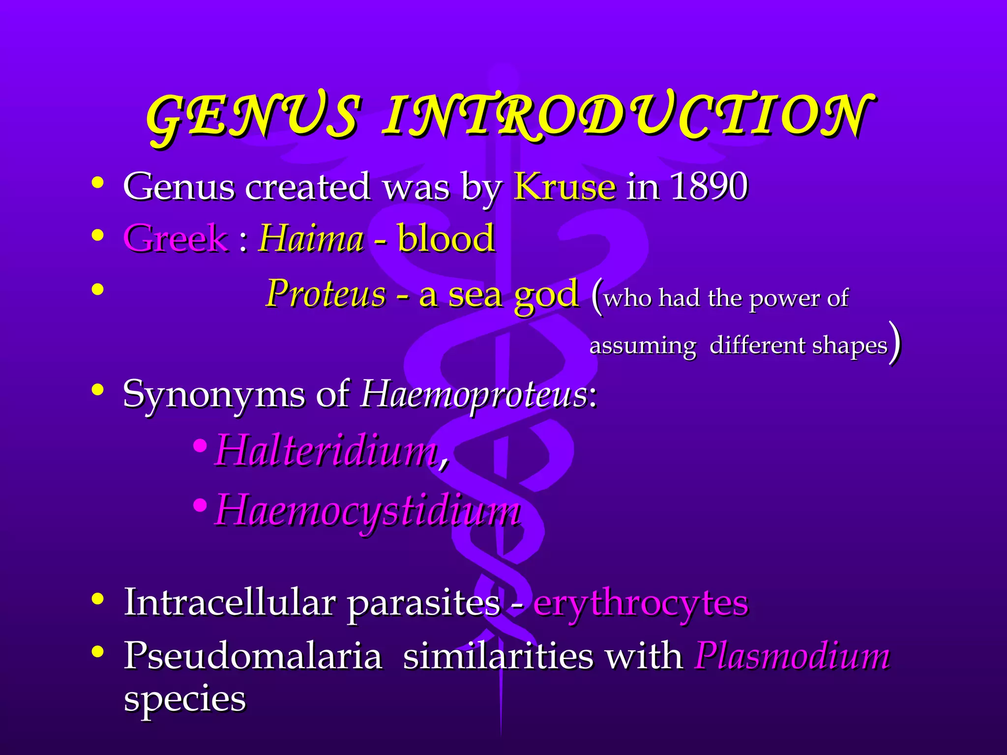 Haemoproteus Columbae | PPT