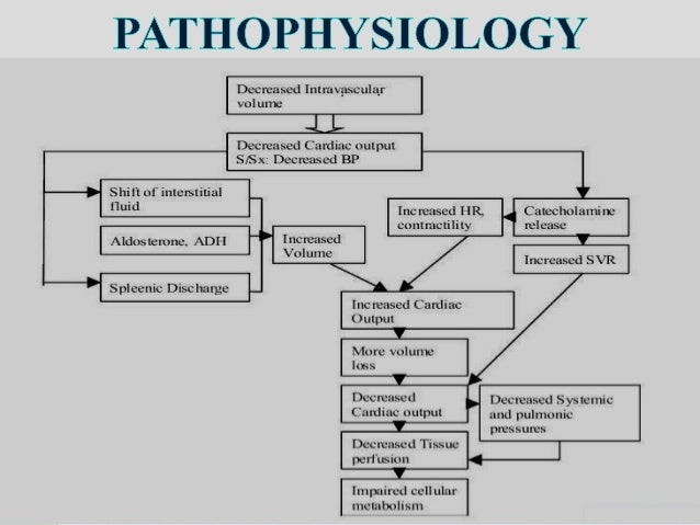 Haemorrhage (original)