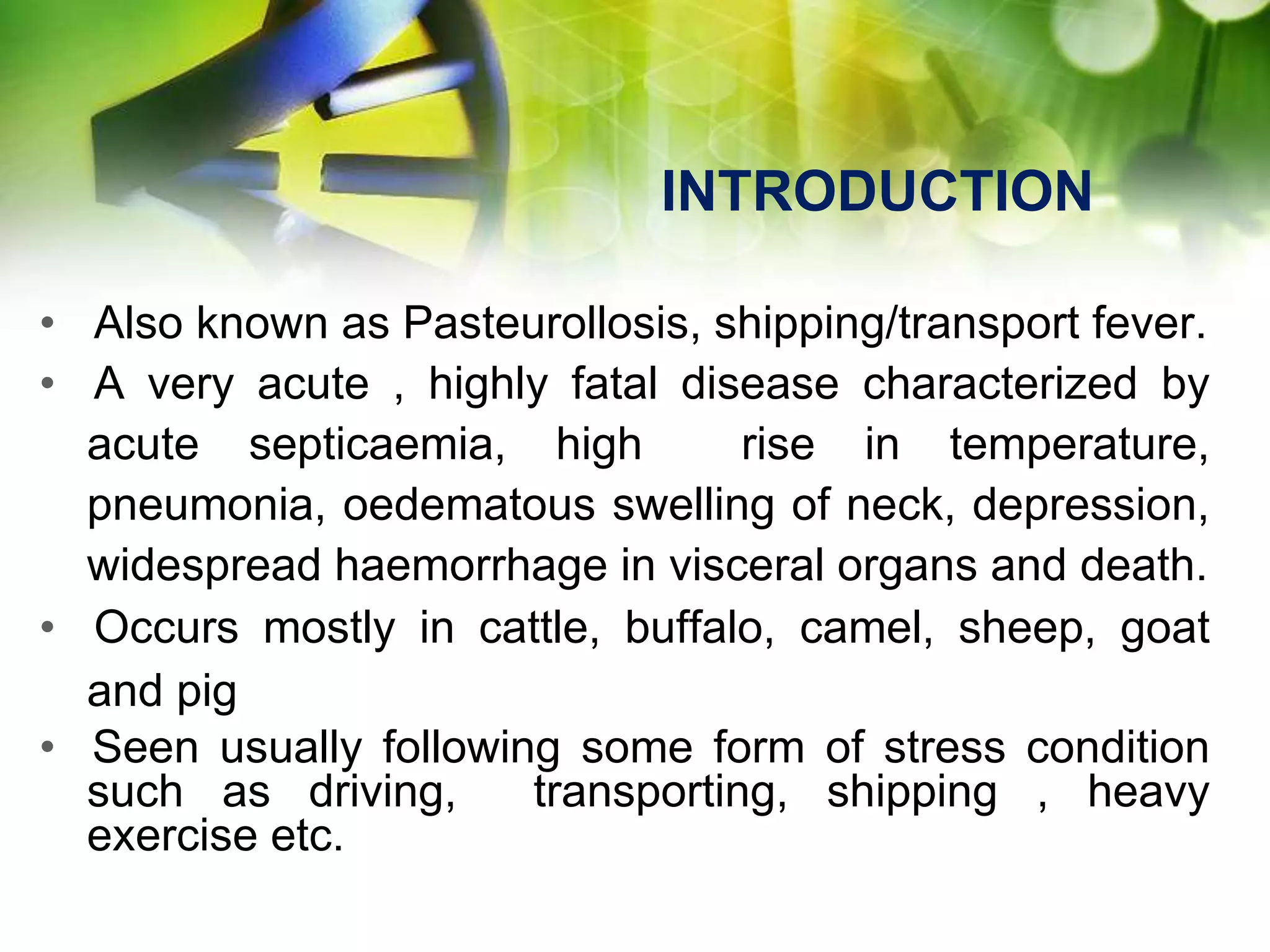 Haemorrhagic sapticemia in Livestock | PPTX